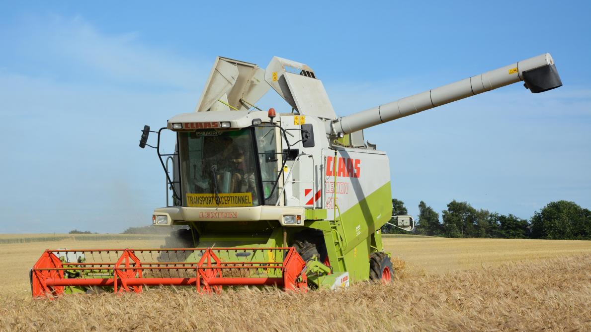 Echos de la moisson (vidéo) - SillonBelge.be