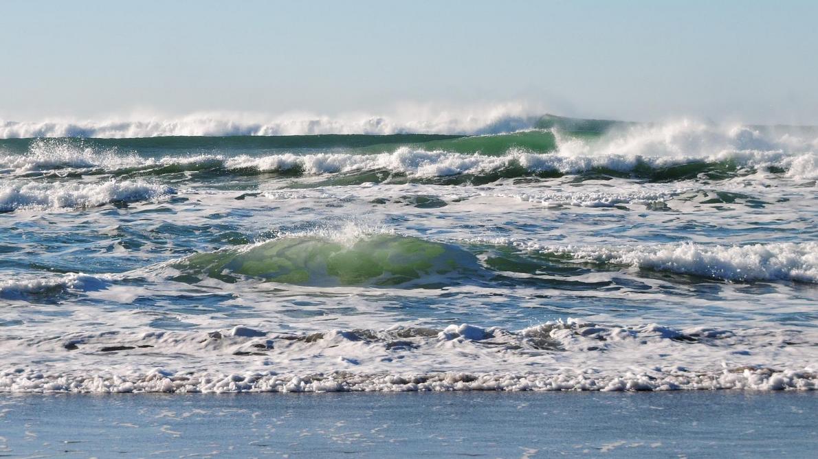 La Belgique propose plus de 20 engagements pour la protection du milieu ...