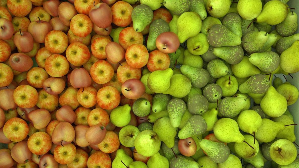 Embargo russe: la Commission proroge le régime de soutien aux ...