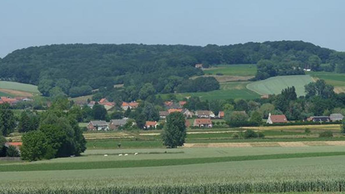 Le Parc naturel des Collines fête ses 20 ans - SillonBelge.be