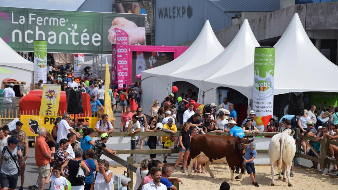 Le bois sera de bout en bout au cœur de la 85e Foire agricole de ...