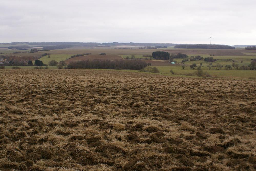Destruction automnale des prairies permanentes, pratique interdite! En ...