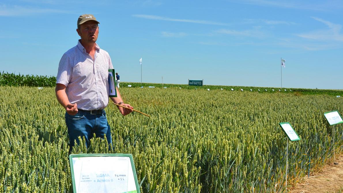 Bayer CropScience expose ses produits et stratégies pour des cultures ...