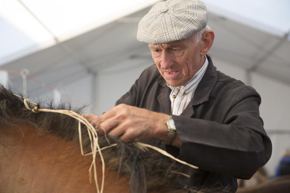 Jean-Pierre Ruelle, photographe: «La Foire de Libramont? Une histoire ...