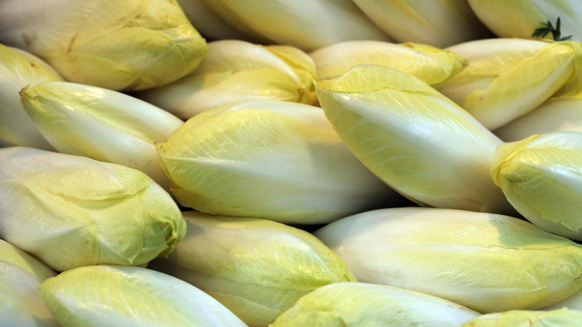 La recette de la semaine: avec des chicons - SillonBelge.be