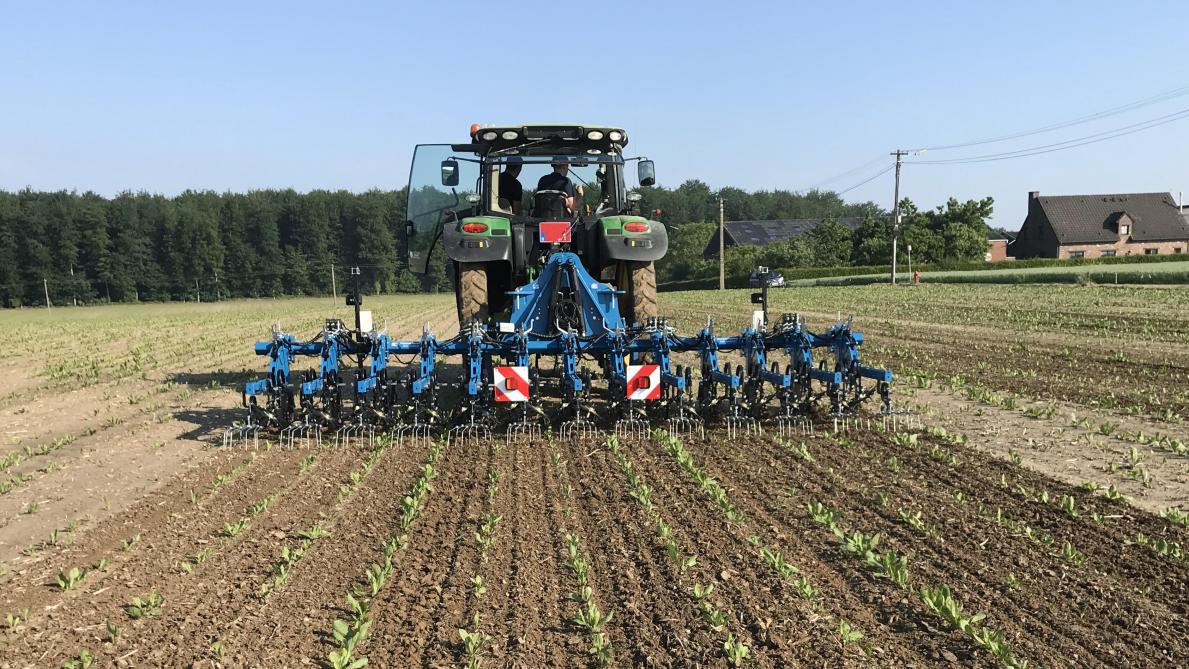 Pour un travail optimal, la bineuse doit allier précision et réactivité ...