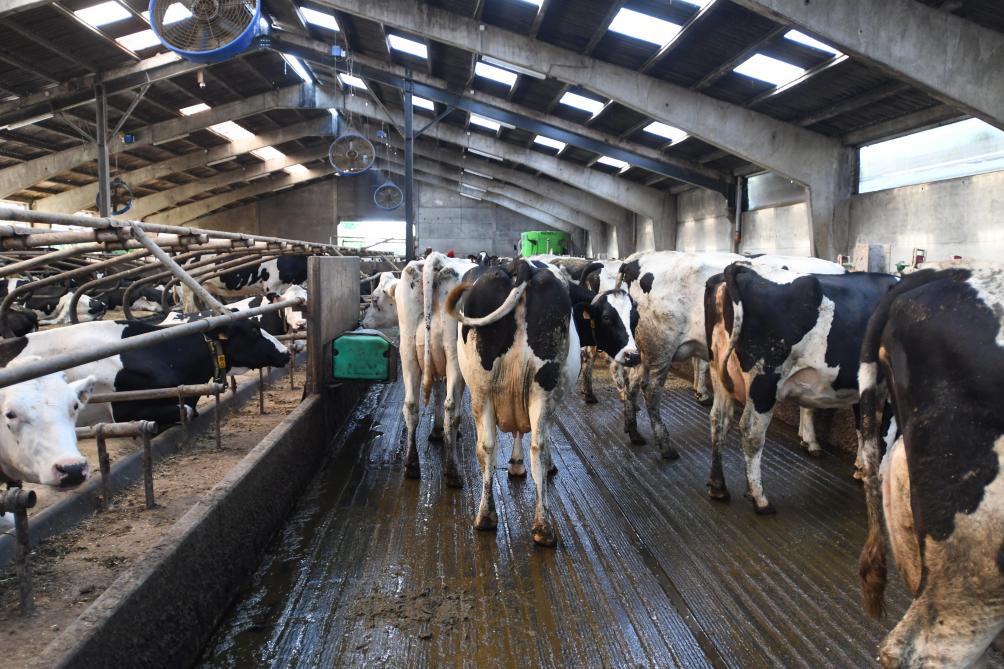 Pour l’adaptation des bâtiments d’élevage face au stress thermique des ...
