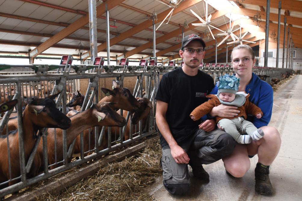 En élevage caprin: l’insémination artificielle pour accroître sa ...