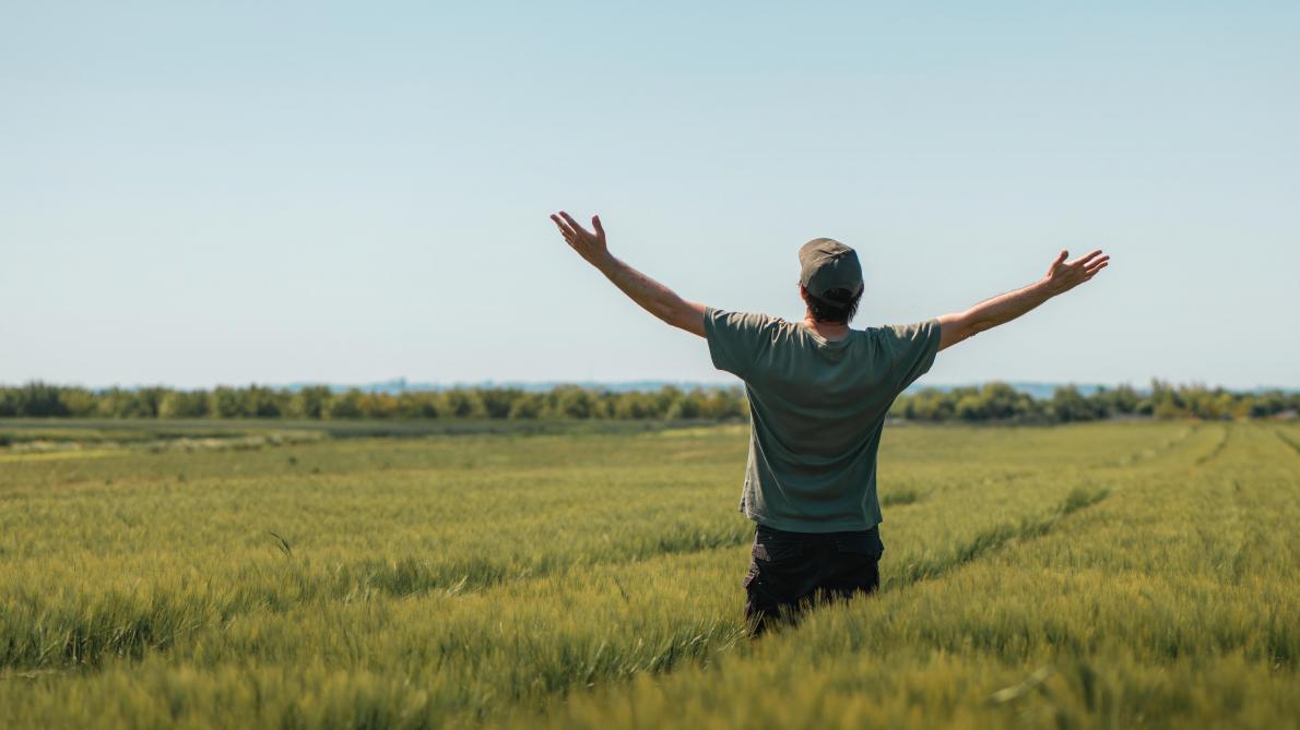 Du respect, merci! - SillonBelge.be