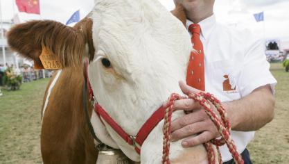 Jean-Pierre Ruelle, photographe: «La Foire de Libramont? Une histoire ...